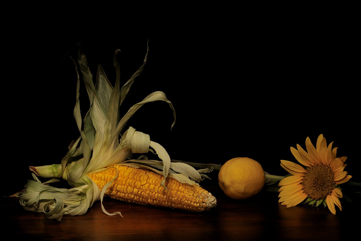 Giallo - light painting | JuzaPhoto