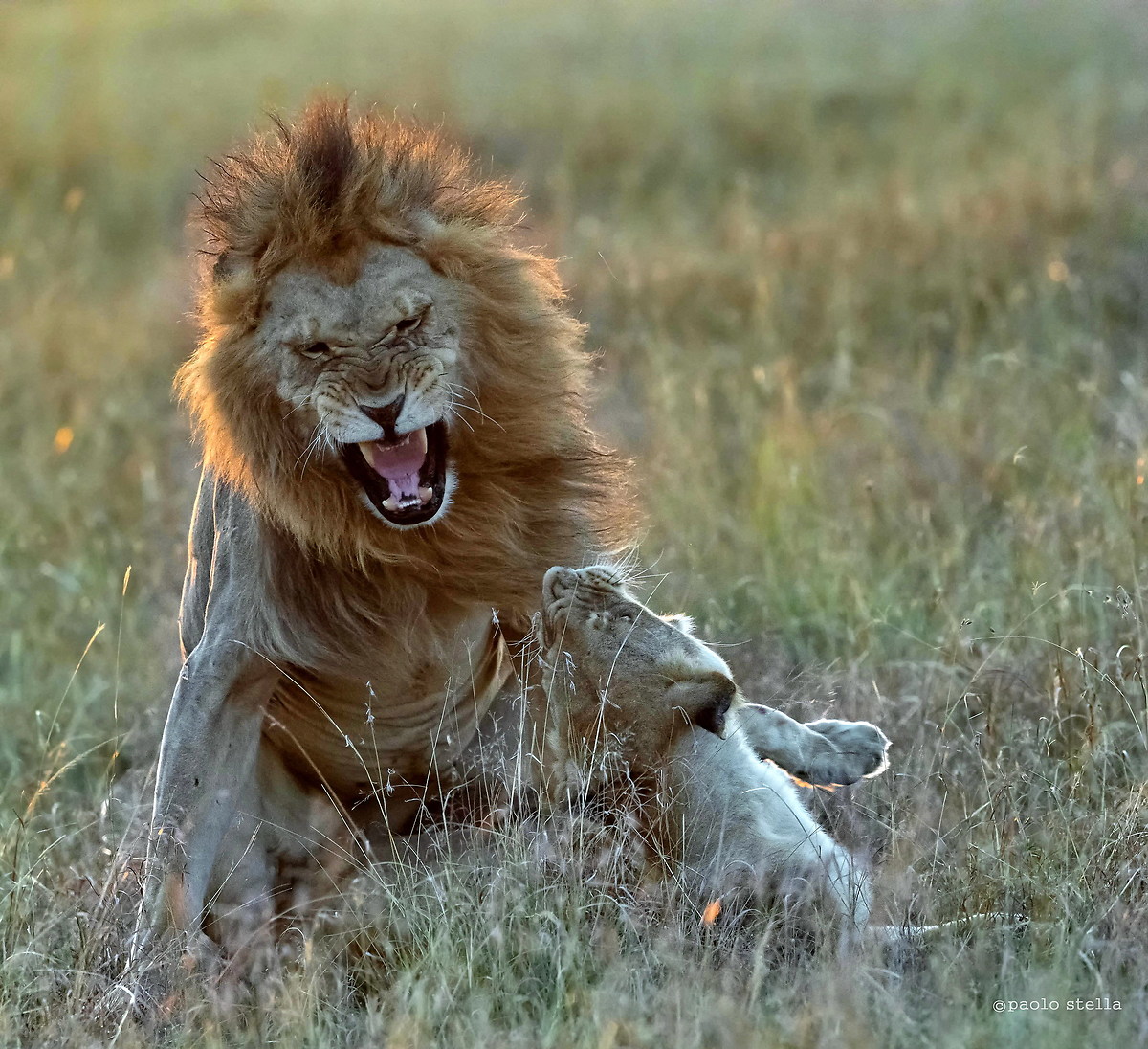 WoooooW | JuzaPhoto